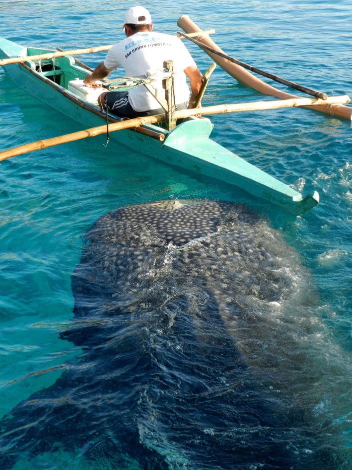 my 5 favorite beaches in the philippines – the pauses between
