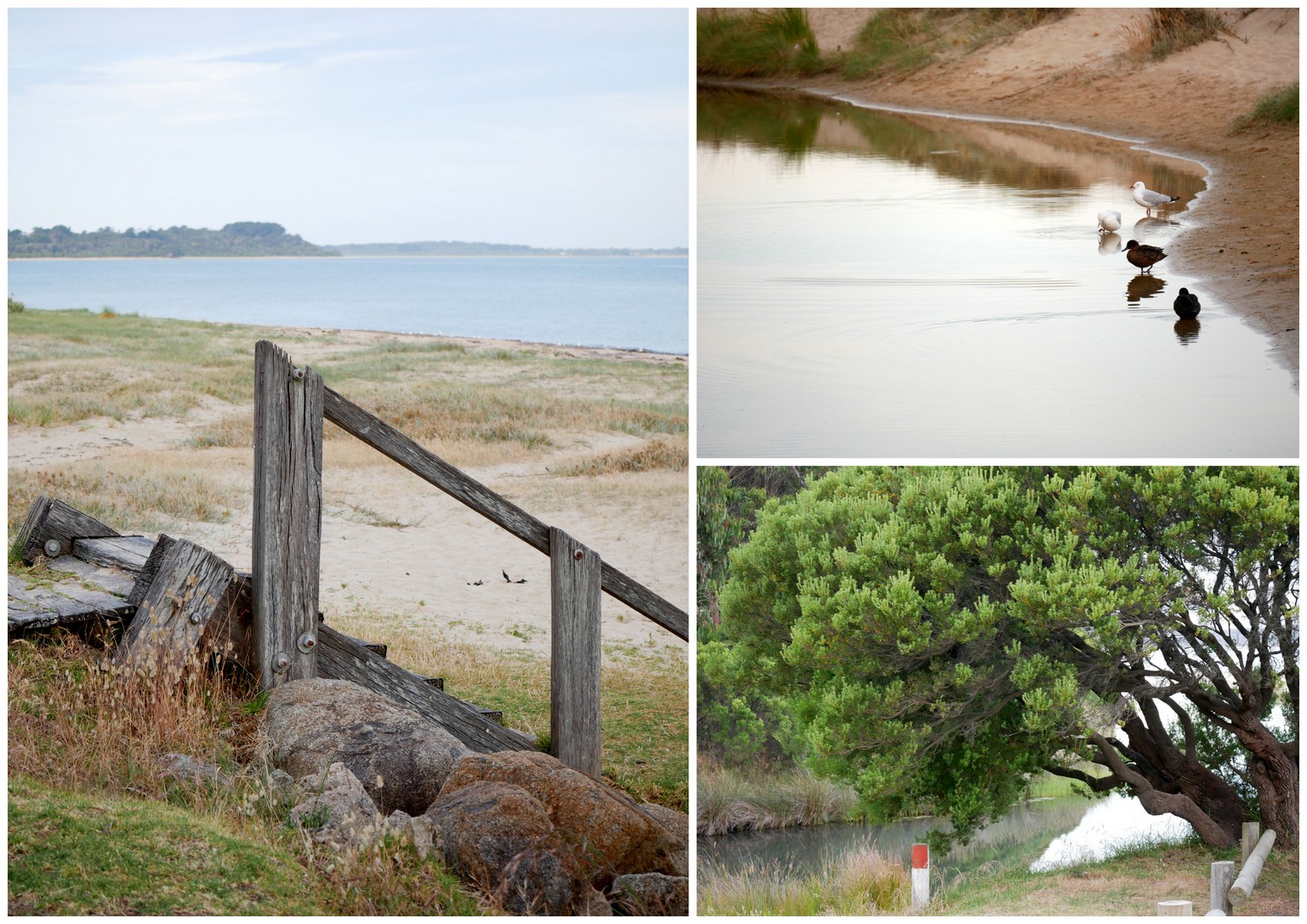 pitching our tents at point leo – the pauses between